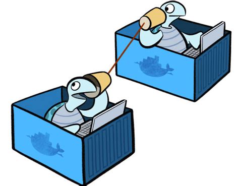 docker固定ip CPP LA