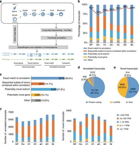 Identification Of Novel Transcripts Using Pacbio Smrt Sequencing In