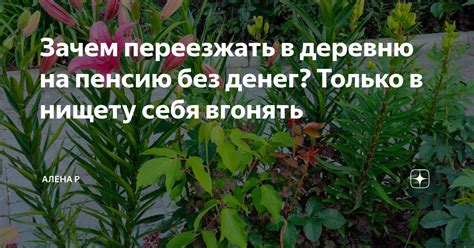 Зачем переезжать в деревню на пенсию без денег Только в нищету себя