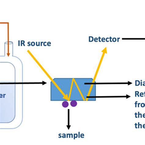 A Depiction Of The Diffusion Cell Apparatus Using An In Situ Atr Ftir