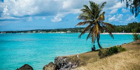 Experts Guide 5 Best Things To Do In Barbados