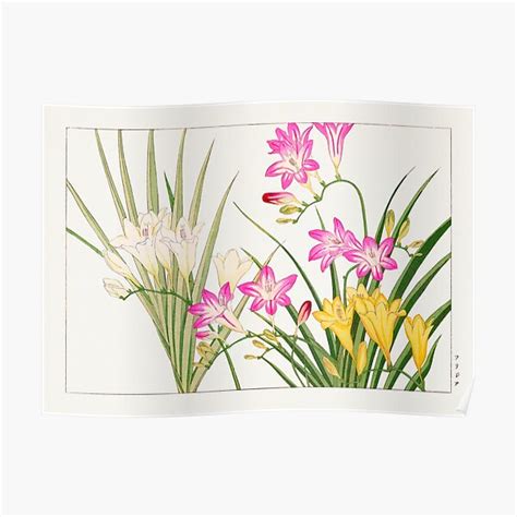 Beautiful Flower Pattern And Poster For Your Home And Bedroom Poster For Sale By Posterocean
