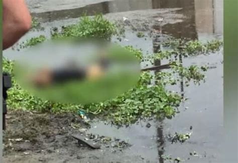 Corpo Com Marcas De Tiro é Encontrado Em Praia Grande Sbt
