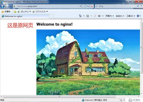 Nginx优化 网页压缩与配置防盗链 系统运维 亿速云