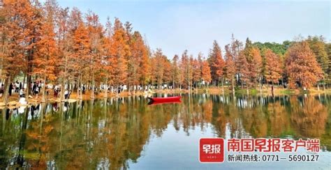 又有新一股弱冷空气要来，广西阴雨天将继续腾讯新闻