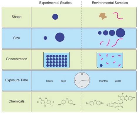 Environmental Microplastics Encyclopedia Mdpi