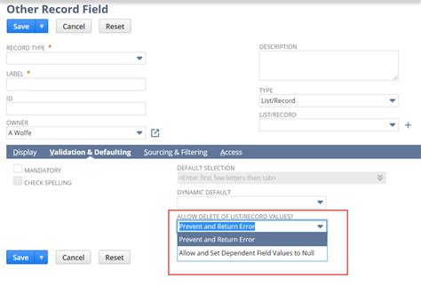 NetSuite Applications Suite - Custom Other Record Fields as XML Definitions