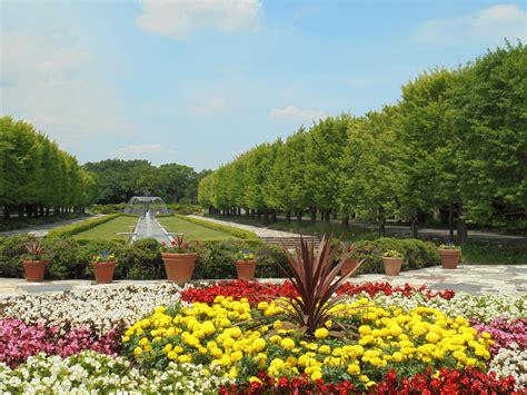 周辺観光案内 【公式】ホテル日航立川 東京
