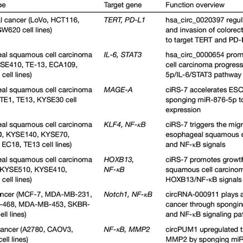 The Reported Functions Of Circular Rna A Acting As Mirna Sponge B