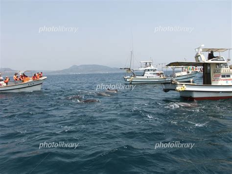 Photolibrary