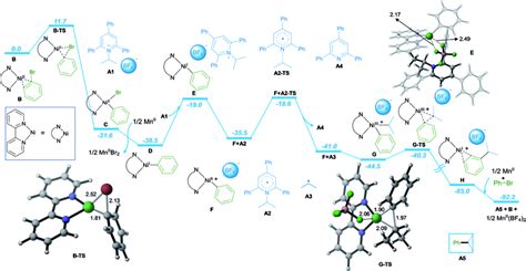 DFT Computed Energy Profile For The Nickel Catalyzed Reductive