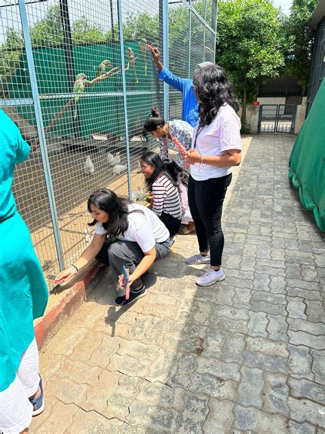 Aditi Pradhan On Linkedin Prayas
