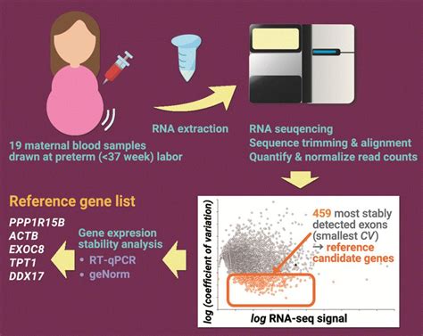 systematic selection of reference genes for the normalization of