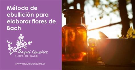 Blog Sobre Flores De Bach Raquel González