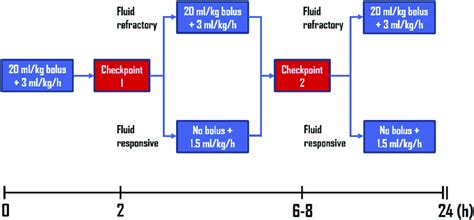 The Fluid Resuscitation Protocol And Time Points For Checking Fluid Download Scientific Diagram