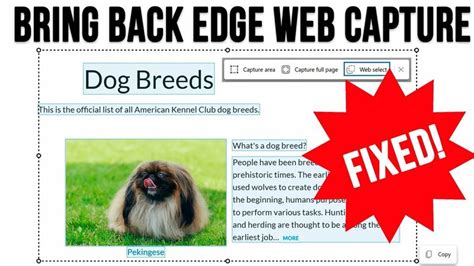 How To Enable The Web Select Feature In Microsoft Edge