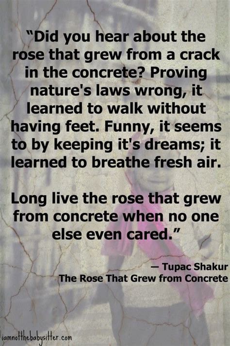 Rose From Concrete Tupac Quotes Quotesgram