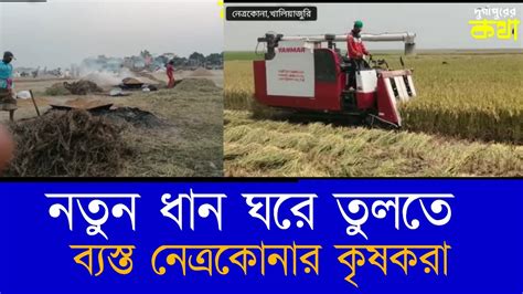 নতুন ধান ঘরে তুলতে ব্যস্ত নেত্রকোনার কৃষকরা Youtube