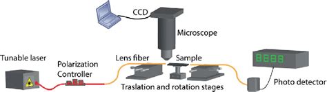Setup For The Waveguide Propagation Loss Measurement Download