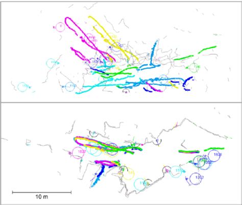 Solid Colored Lines Show Human Trajectories Seen By Each Sensor Before Download High