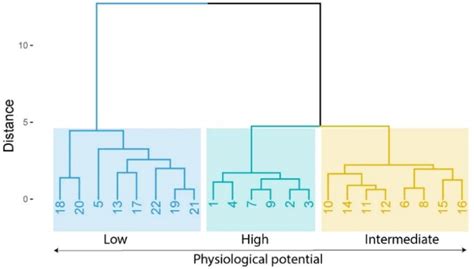 dendrogram of the euclidean distance of 22 soybean seed lots showing