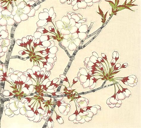 Kawarazaki Shodo F19 Sakura Cherry Blossoms Japanese Woodblock