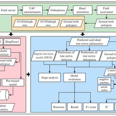 Flowchart Of The Main Steps And Analysis For The Evaluation Of Download Scientific Diagram