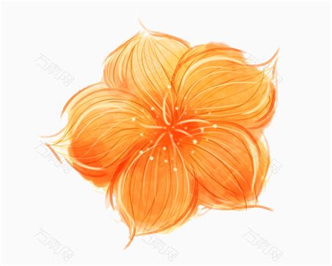 手绘橙色花卉png元素素材图片下载 万素网