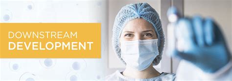 Biologics Downstream Development