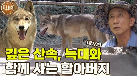 [특종세상] 깊은 산속 수상한 소리의 정체가 늑대 늑대와 함께 사는 할아버지 Mbn 180615 방송 1 2