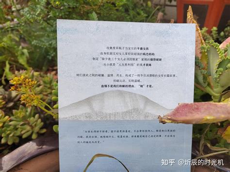 《她和她的群岛》：做你自己就好，因为别人都有人做了 知乎