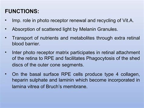 Anatomy Of Retina Ppt
