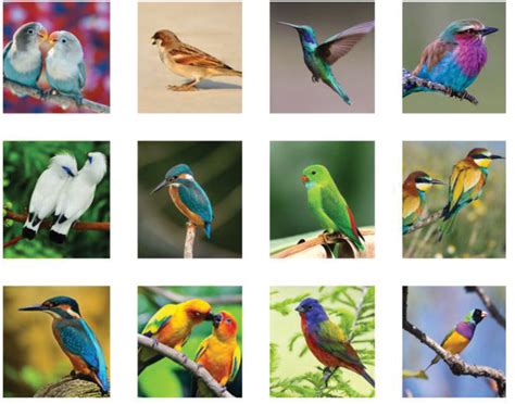 Figure 3 From Security Of Image Using Watermarking Techniques And