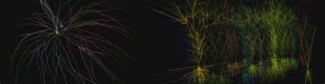 Making Data Sharing Easier For Neuroscience Sainsbury Wellcome Centre