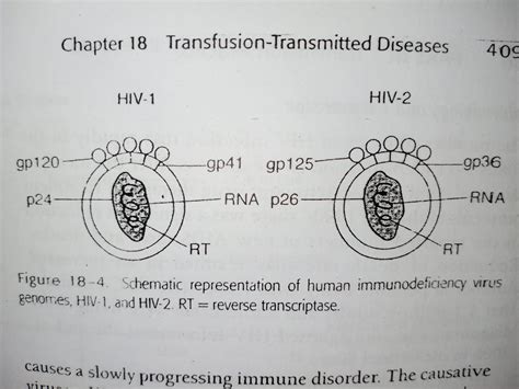 human immunodeficiency virus hiv learn it by heart