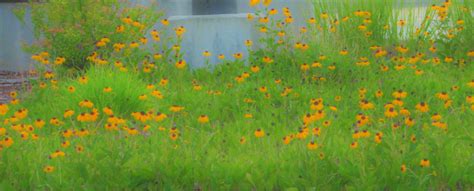 Lazy Susans By Carpathiandreamdrago On Deviantart