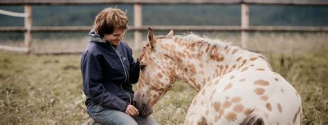 Was Ist Parelli Natural Horsemanship Parelli Instruktoren
