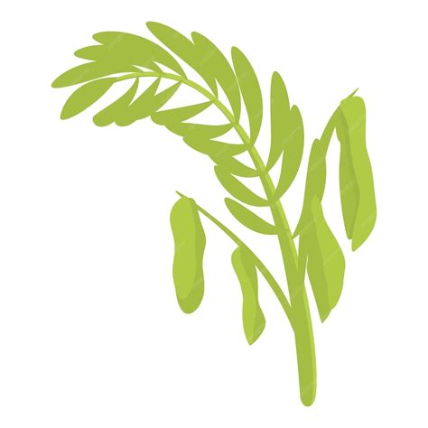 Premium Vector Lentil Plant Icon Cartoon Vector Bean Lentil Plant