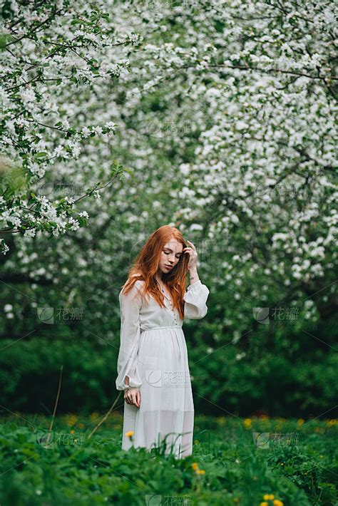 美丽的红发女孩穿着白色的裙子在盛开的苹果