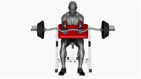 Master The Preacher Curl Ez Bar Close Grip A Beginners Guide To