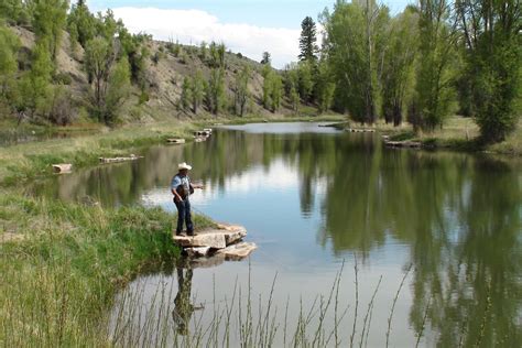 Wildland Hydrology Consultants