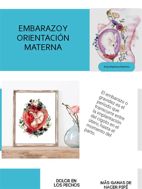 Embarazo Pdf Parto El Embarazo
