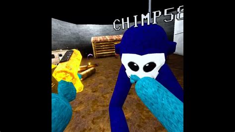Isolation Chimps Youtube