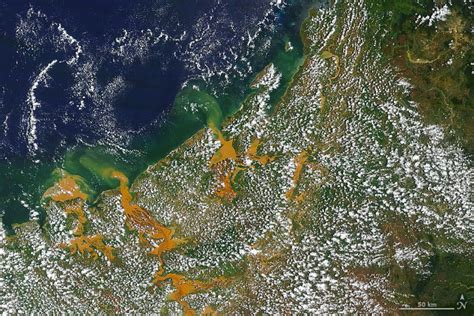 Madagascar Swamped With Rain