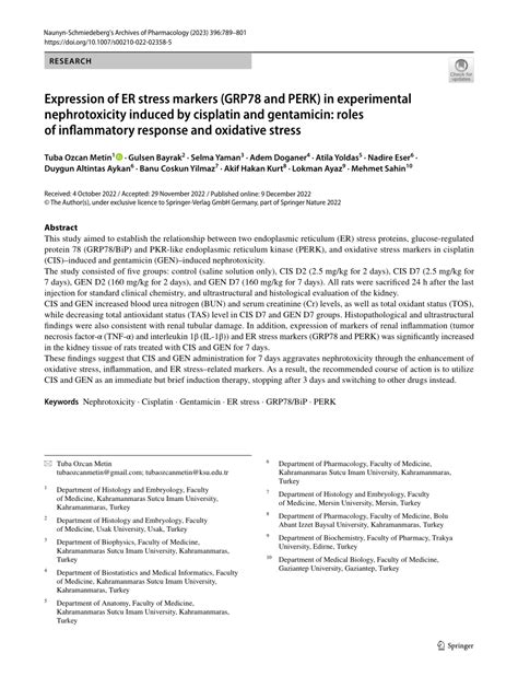 Pdf Expression Of Er Stress Markers Grp78 And Perk In Experimental Nephrotoxicity Induced By