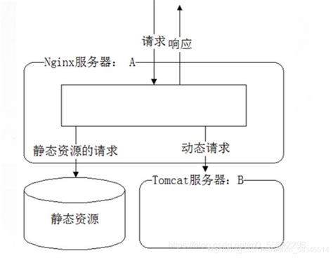 nginx tomcat实现负载均衡、动静分离集群部署 nginx实现动静分离tomcat集群 csdn博客