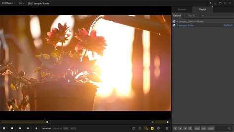Best MKV Players For MacOS Windows IOS In