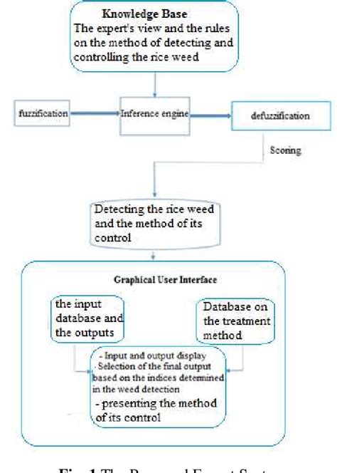 Figure 1 From A Fuzzy Delphi Based Inference System For Detecting And Controlling Rice Weeds