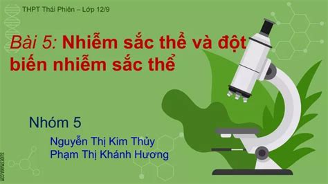 PPT Sinh học lớp Bài Nhiễm sắc thể và đột biến cấu trúc NST PowerPoint Presentation