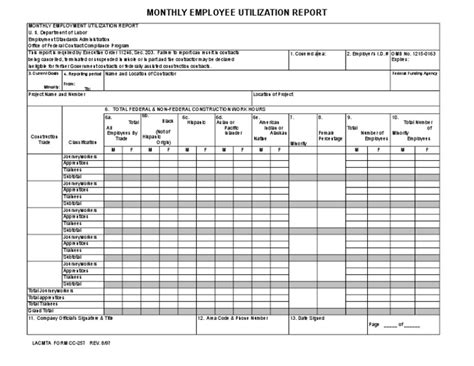 Contractor Compliance Report Pdf Race And Ethnicity In The United